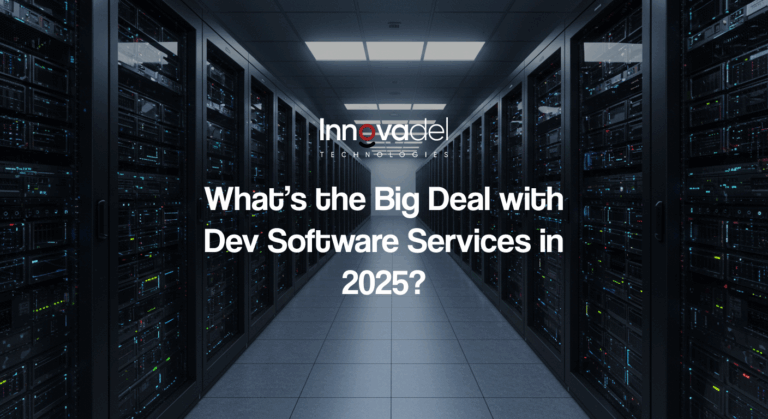 What’s the Big Deal with Dev Software Services in 2025? - Innovadeltech